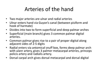 Hand, wrist and forearm gross anatomy .pptx