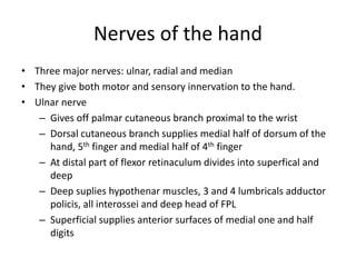 Hand, wrist and forearm gross anatomy .pptx