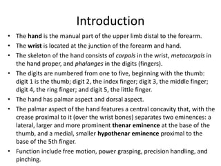 Hand, wrist and forearm gross anatomy .pptx