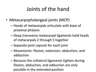 Hand, wrist and forearm gross anatomy .pptx