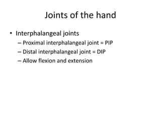 Hand, wrist and forearm gross anatomy .pptx