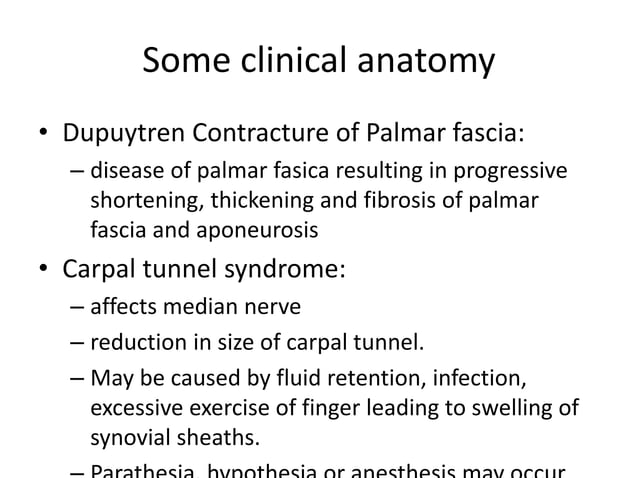 Hand, wrist and forearm gross anatomy .pptx