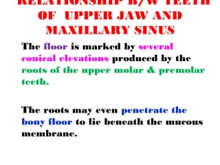anatomy of Paranasal sinus | PPT