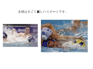 ハンガリーのスポーツ | PPT