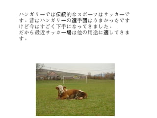 ハンガリーのスポーツ | PPT