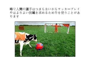 ハンガリーのスポーツ | PPT