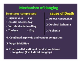 Hanging, strangulation, Asphyxial death | PDF