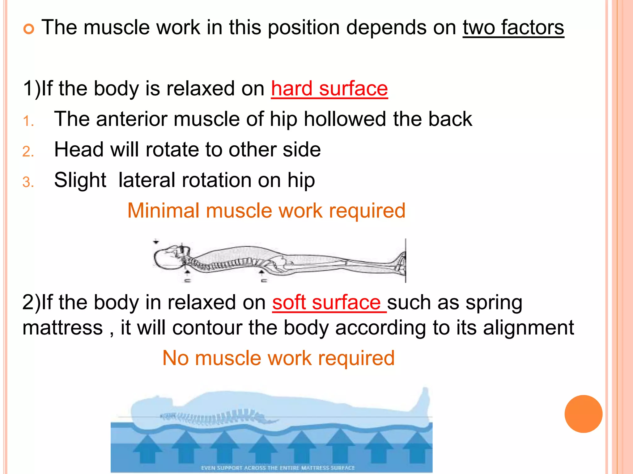 Hanging and lying kinesiology | PPT