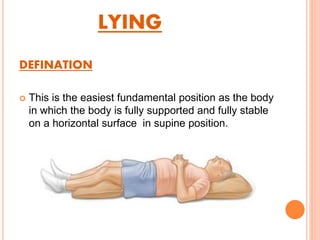 Hanging and lying kinesiology | PPT