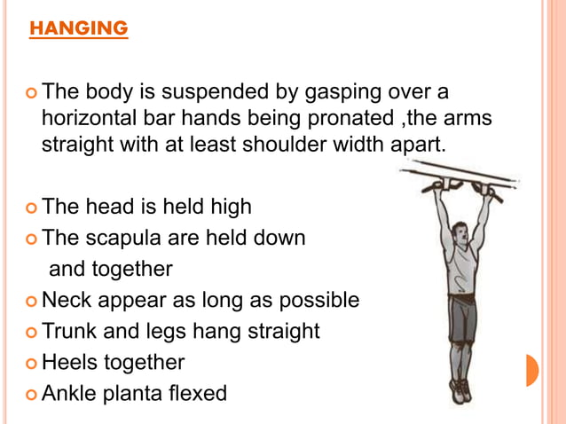 Hanging and lying kinesiology | PPT
