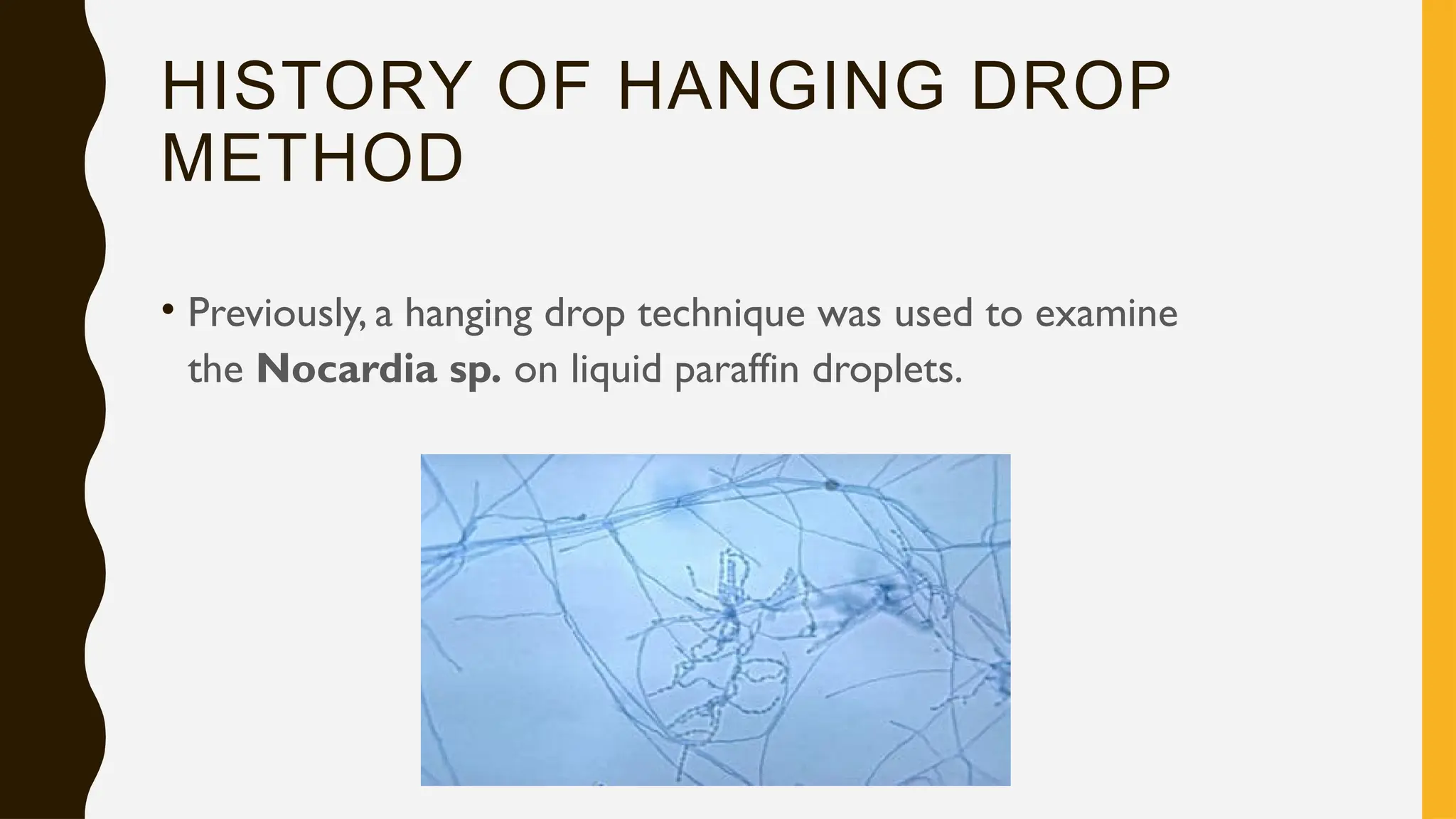 Hanging Drop Method_microbiology_KripaRaghunathan.pptx