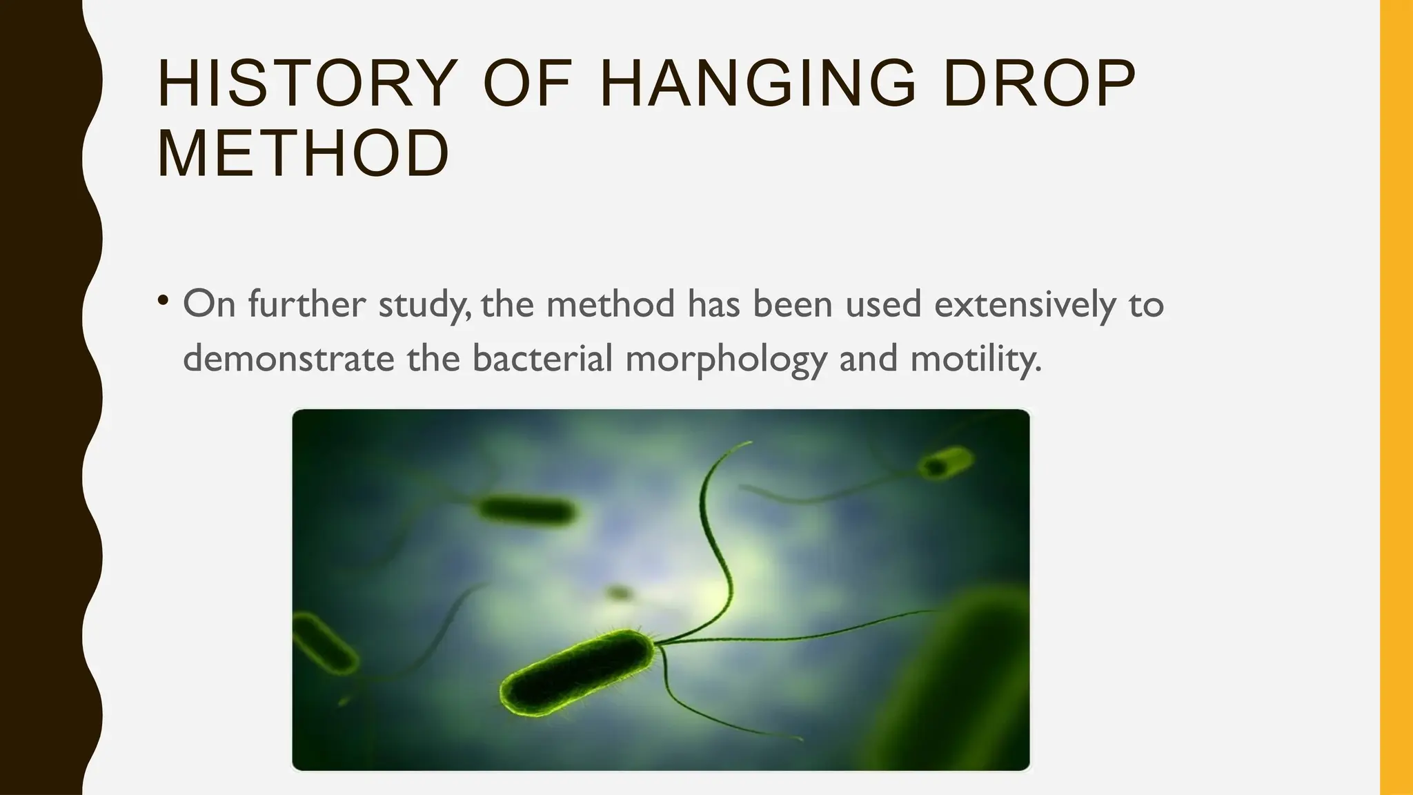 Hanging Drop Method_microbiology_KripaRaghunathan.pptx