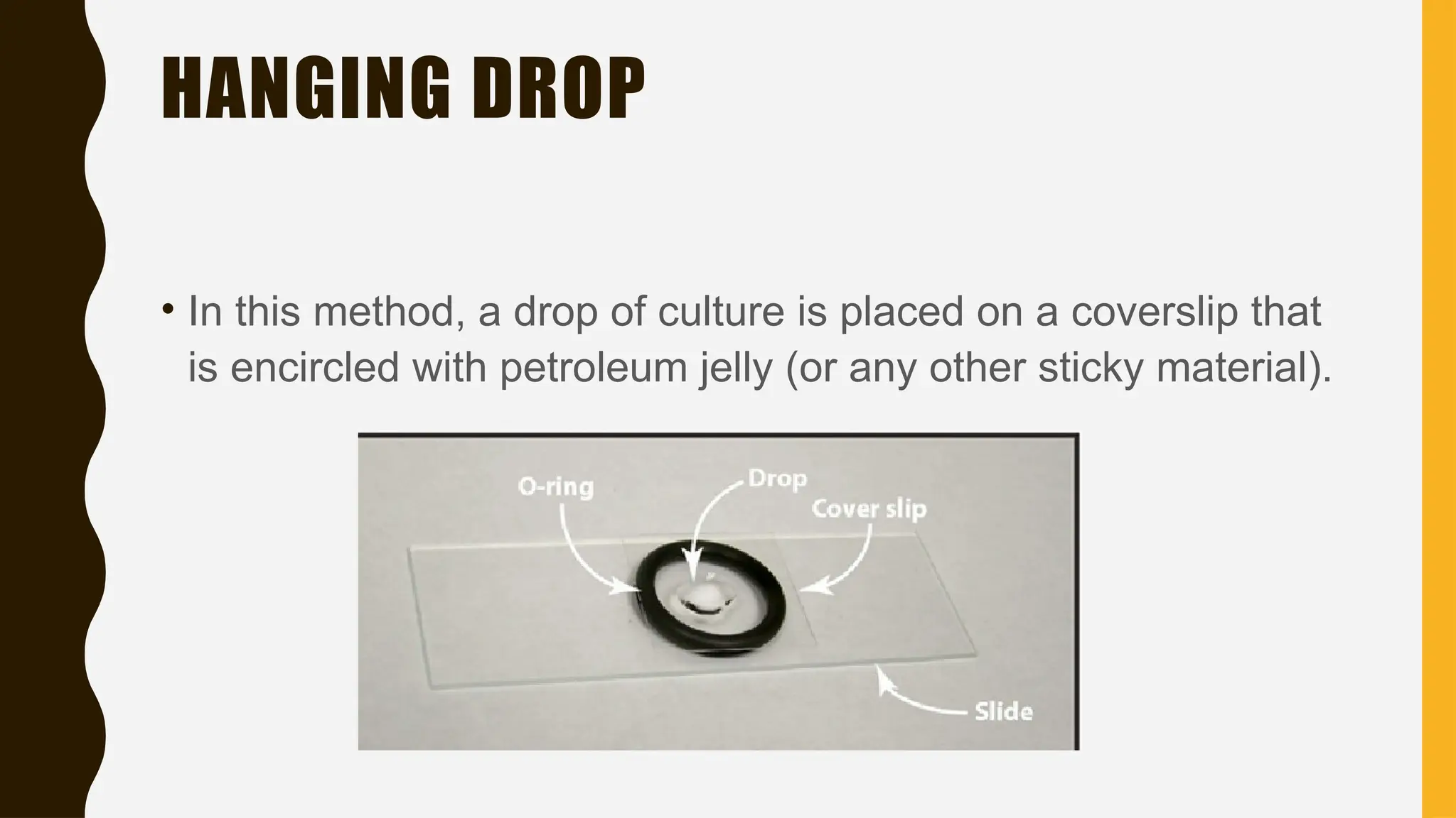 Hanging Drop Method_microbiology_KripaRaghunathan.pptx