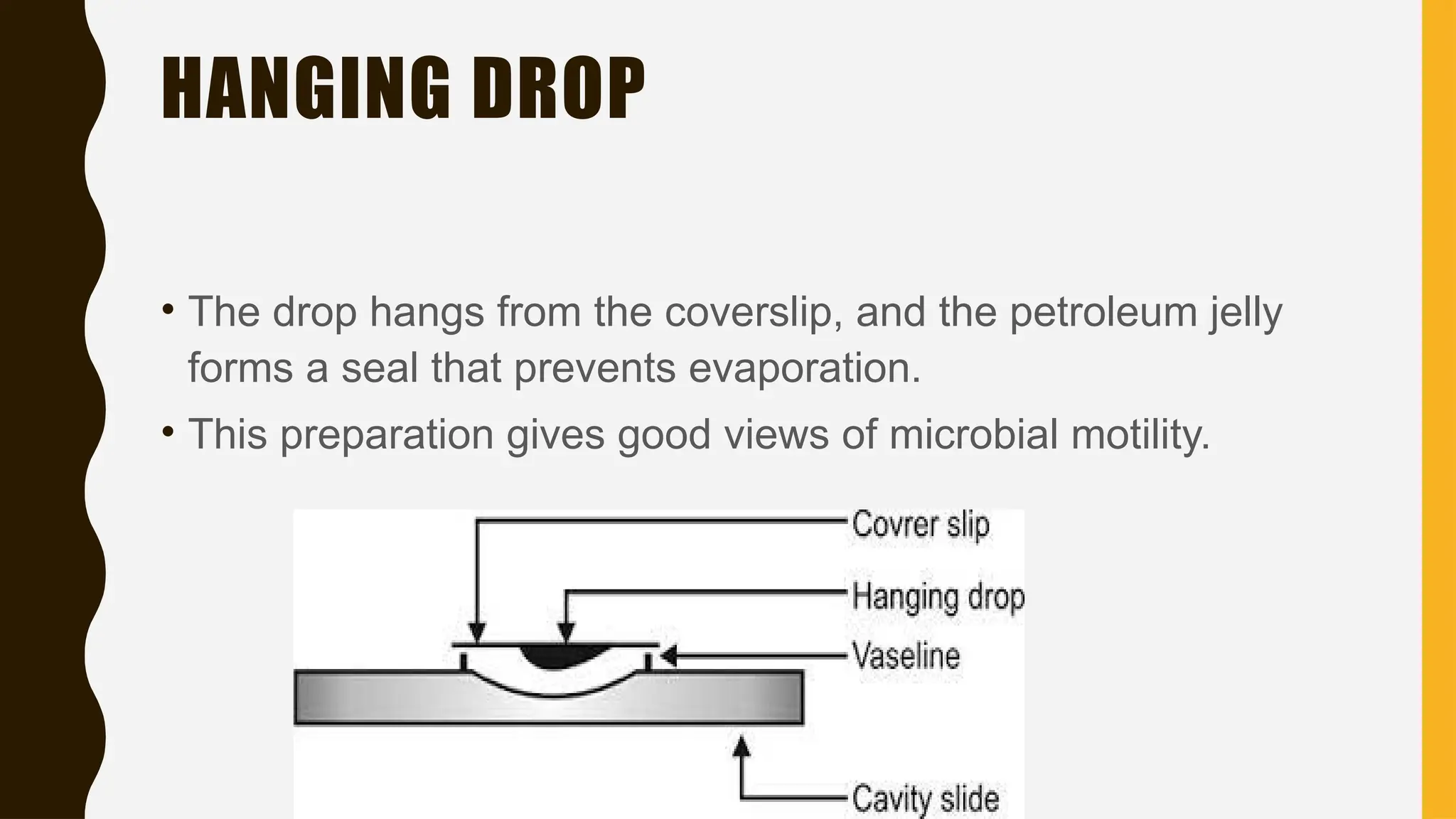 Hanging Drop Method_microbiology_KripaRaghunathan.pptx