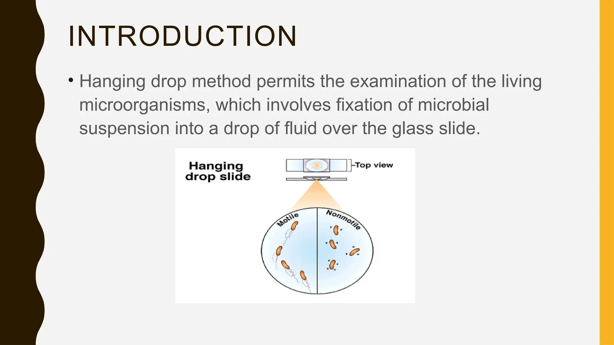 Hanging Drop Method_microbiology_KripaRaghunathan.pptx