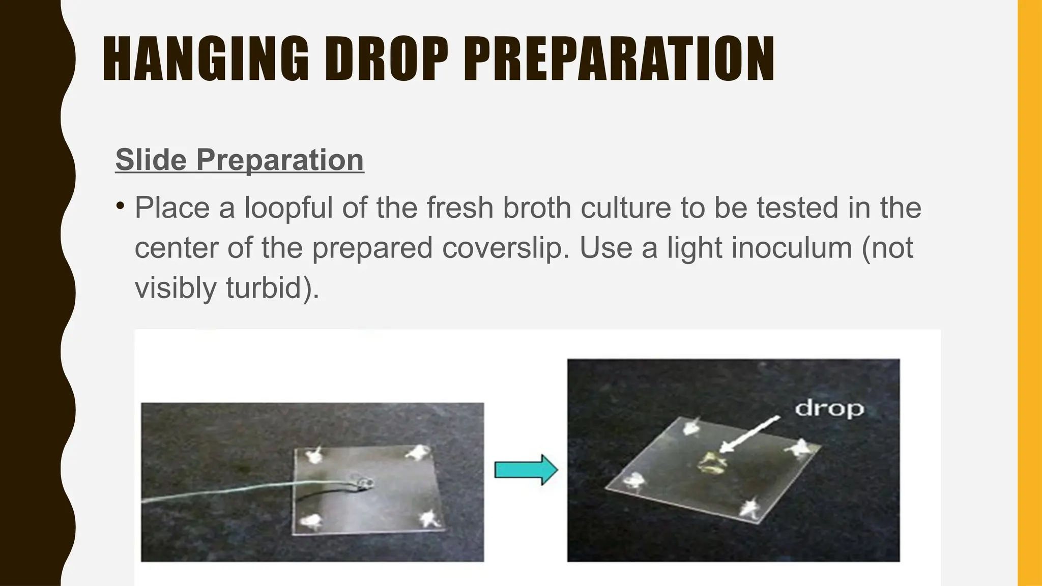 Hanging Drop Method_microbiology_KripaRaghunathan.pptx