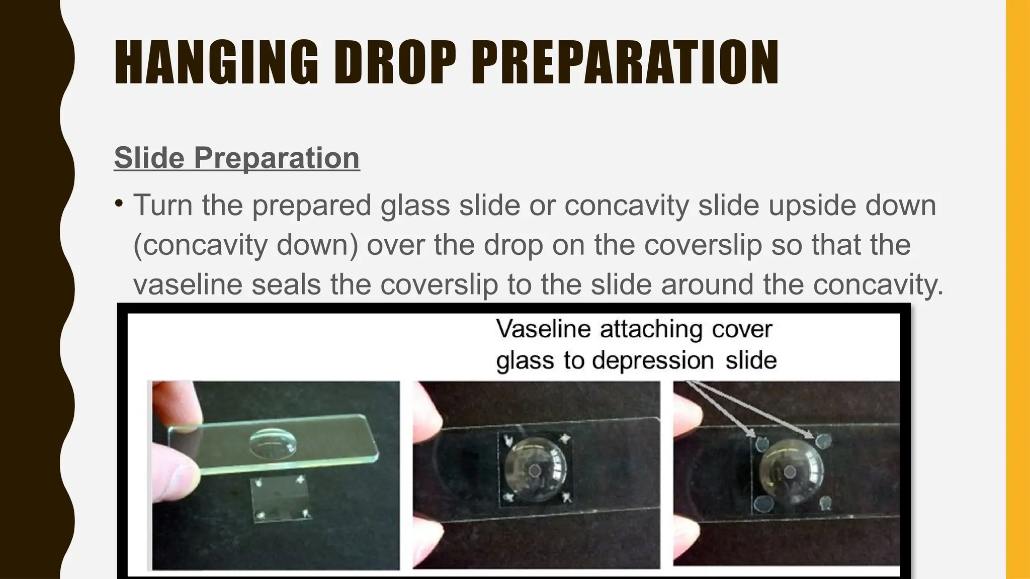 Hanging Drop Method_microbiology_KripaRaghunathan.pptx