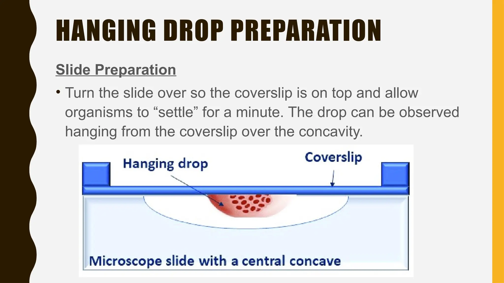 Hanging Drop Method_microbiology_KripaRaghunathan.pptx