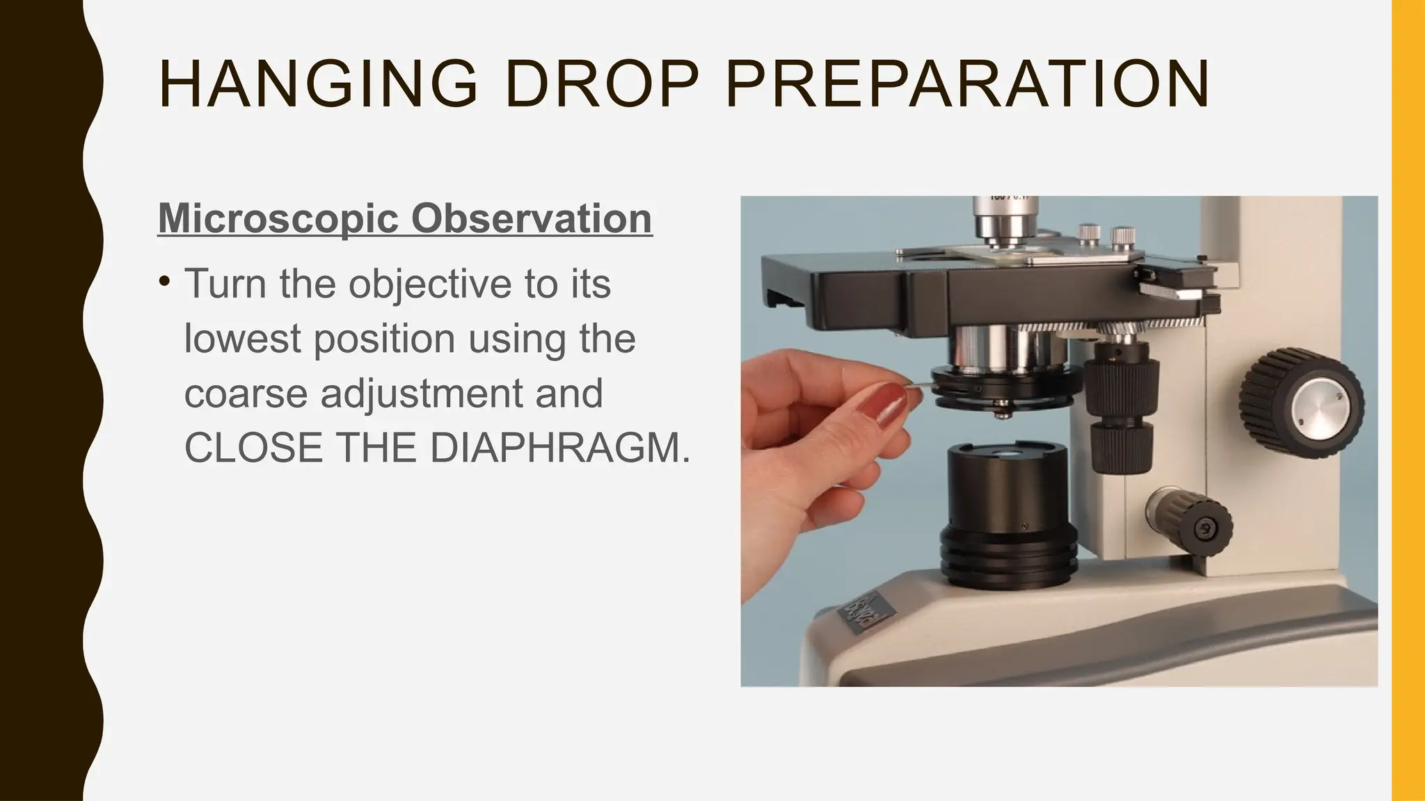 Hanging Drop Method_microbiology_KripaRaghunathan.pptx
