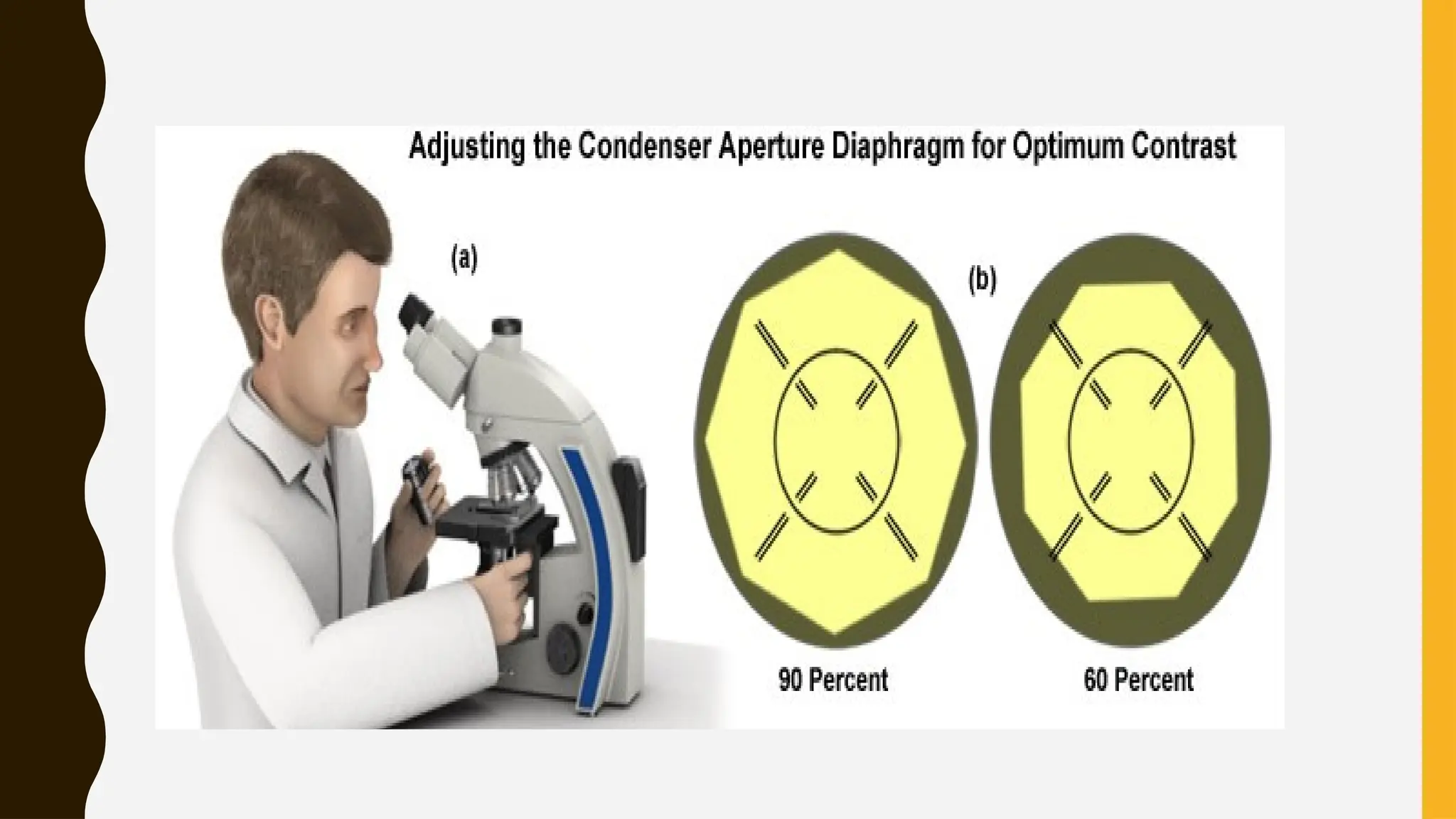 Hanging Drop Method_microbiology_KripaRaghunathan.pptx