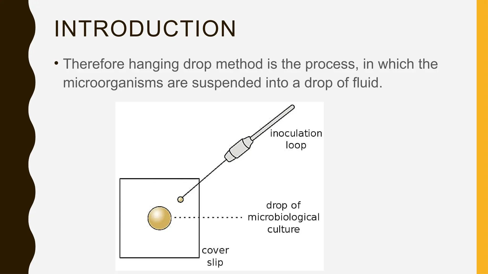 Hanging Drop Method_microbiology_KripaRaghunathan.pptx