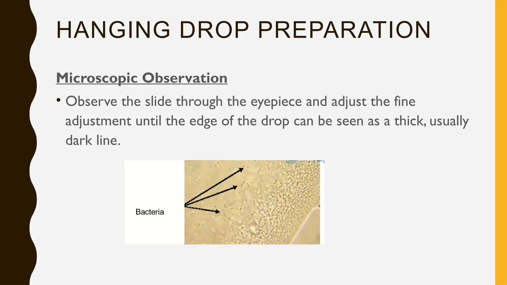Hanging Drop Method_microbiology_KripaRaghunathan.pptx