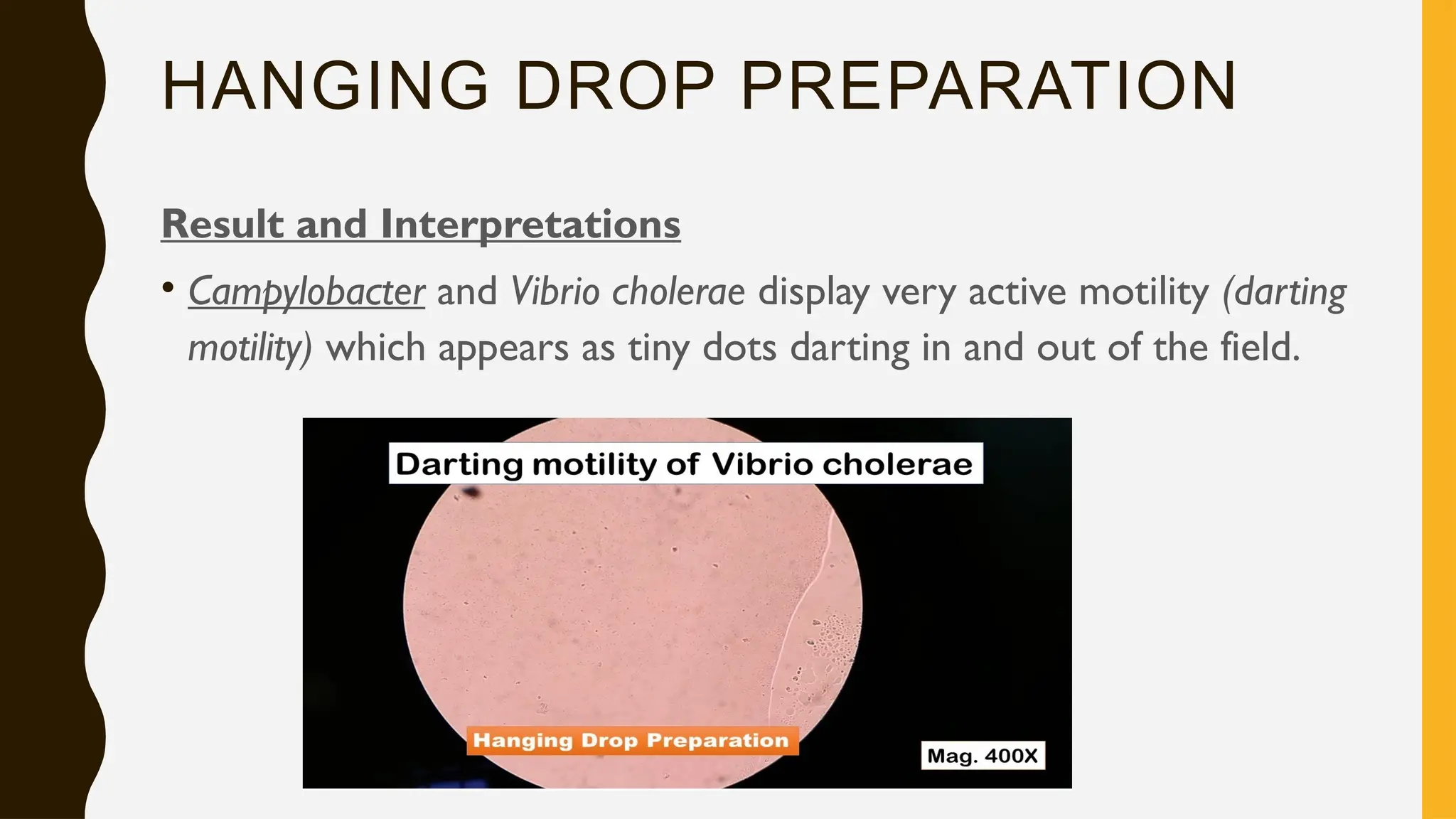 Hanging Drop Method_microbiology_KripaRaghunathan.pptx