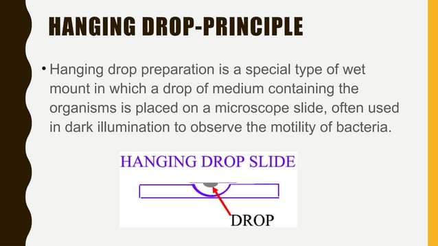 Hanging Drop Method_microbiology_KripaRaghunathan.pptx