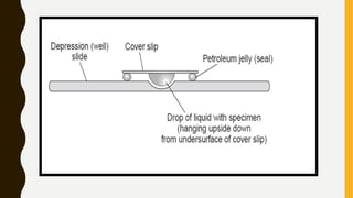 Hanging Drop Method_microbiology_KripaRaghunathan.pptx