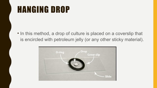 Hanging Drop Method_microbiology_KripaRaghunathan.pptx