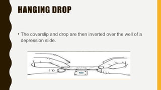 Hanging Drop Method_microbiology_KripaRaghunathan.pptx