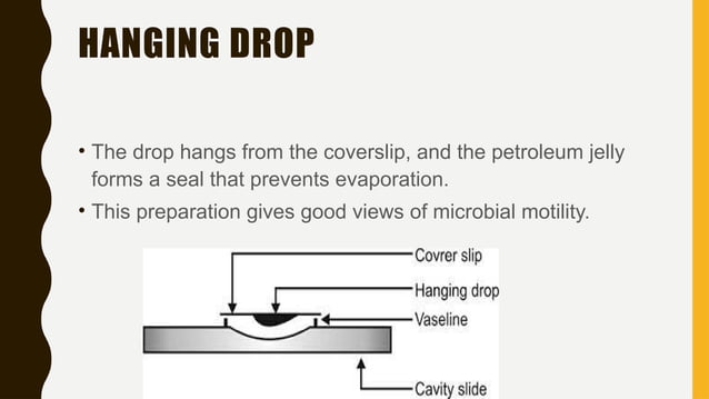 Hanging Drop Method_microbiology_KripaRaghunathan.pptx