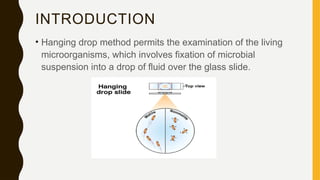 Hanging Drop Method_microbiology_KripaRaghunathan.pptx