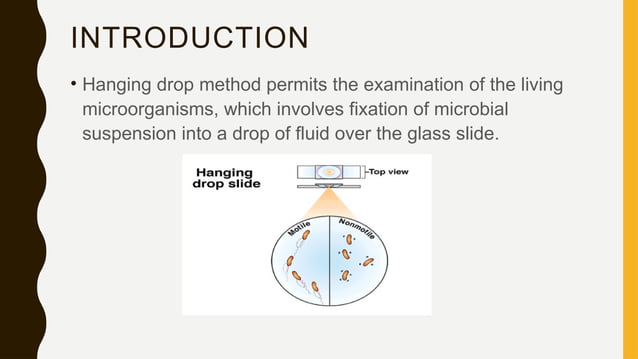 Hanging Drop Method_microbiology_KripaRaghunathan.pptx