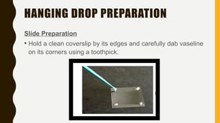 Hanging Drop Method_microbiology_KripaRaghunathan.pptx
