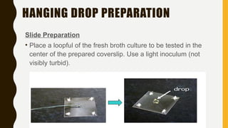 Hanging Drop Method_microbiology_KripaRaghunathan.pptx