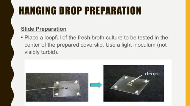 Hanging Drop Method_microbiology_KripaRaghunathan.pptx