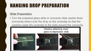 Hanging Drop Method_microbiology_KripaRaghunathan.pptx