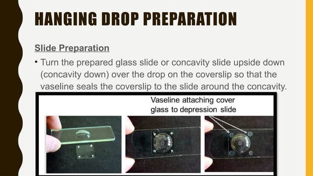 Hanging Drop Method_microbiology_KripaRaghunathan.pptx