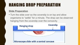 Hanging Drop Method_microbiology_KripaRaghunathan.pptx