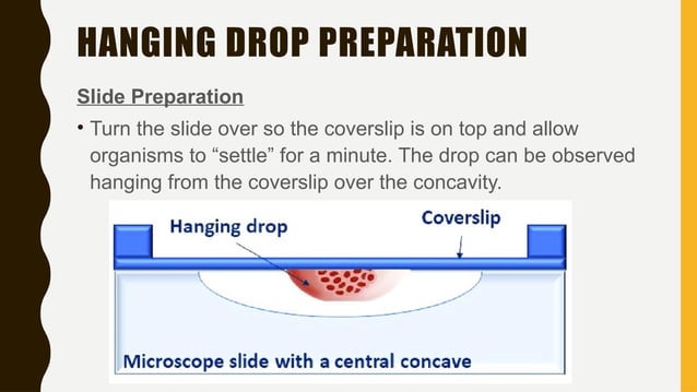 Hanging Drop Method_microbiology_KripaRaghunathan.pptx