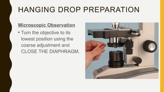 Hanging Drop Method_microbiology_KripaRaghunathan.pptx