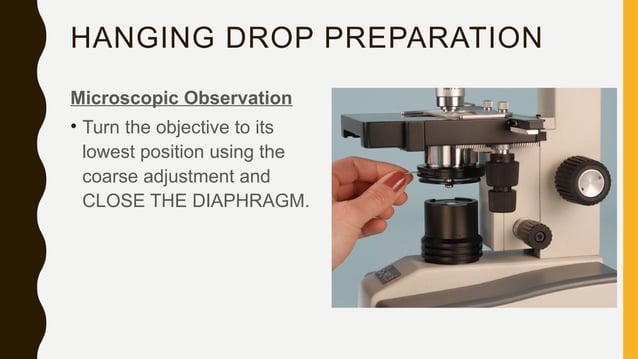 Hanging Drop Method_microbiology_KripaRaghunathan.pptx