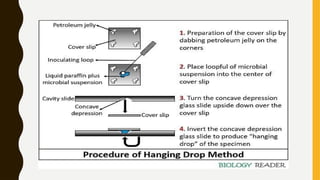 Hanging Drop Method_microbiology_KripaRaghunathan.pptx