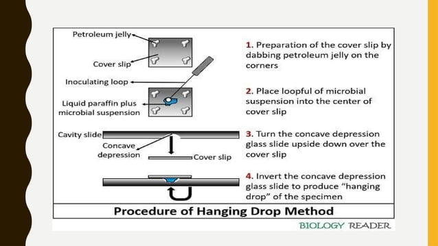 Hanging Drop Method_microbiology_KripaRaghunathan.pptx