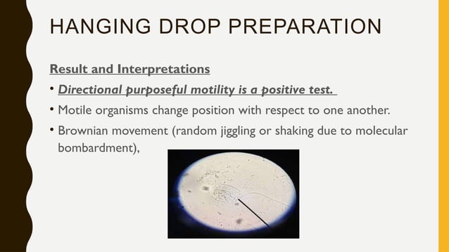 Hanging Drop Method_microbiology_KripaRaghunathan.pptx