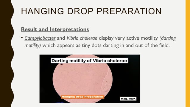 Hanging Drop Method_microbiology_KripaRaghunathan.pptx