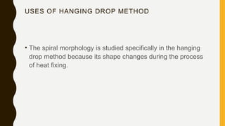 Hanging Drop Method_microbiology_KripaRaghunathan.pptx