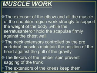 Hanging position 1 | PPTX