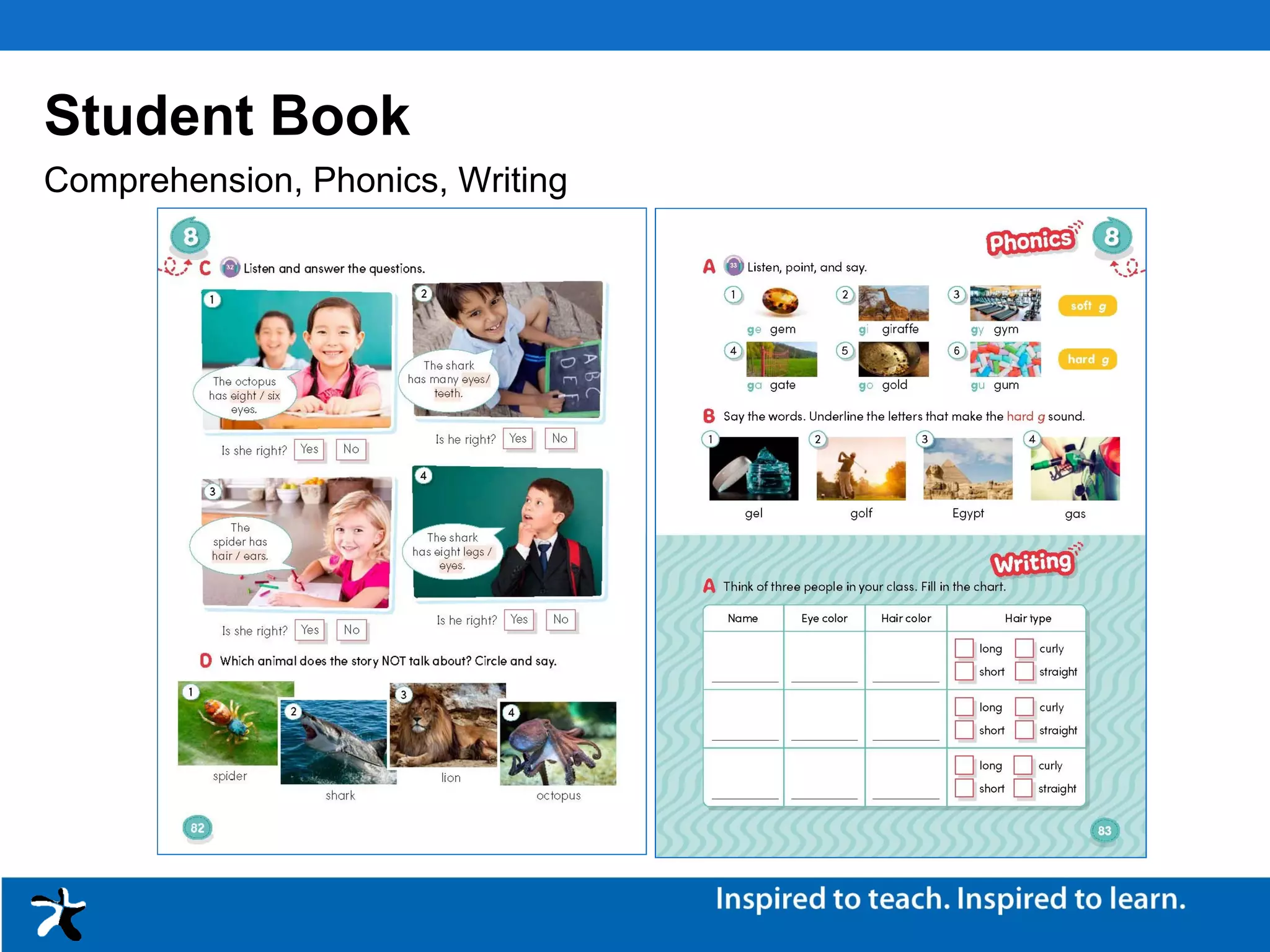 Hang out with the four strand theory!